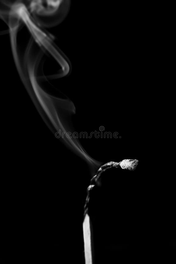 Dead Fox Due Smoke Intoxication, Lay on the Burned Ground Filled with ... Dead Fox Due Smoke Intoxication, Lay on the Burned Ground Filled with ...