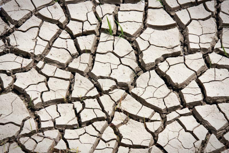 Dead soil stock image. Image of brown, dryness, barren - 22566739