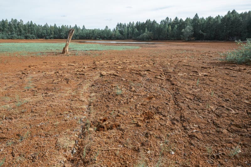 Dead Soil Remaining after Storage in the Sump Stock Image - Image of ...
