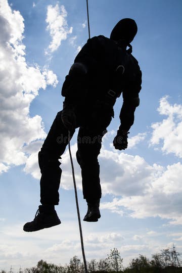 161 Dead Swat Stock Photos - Free & Royalty-Free Stock Photos from ...