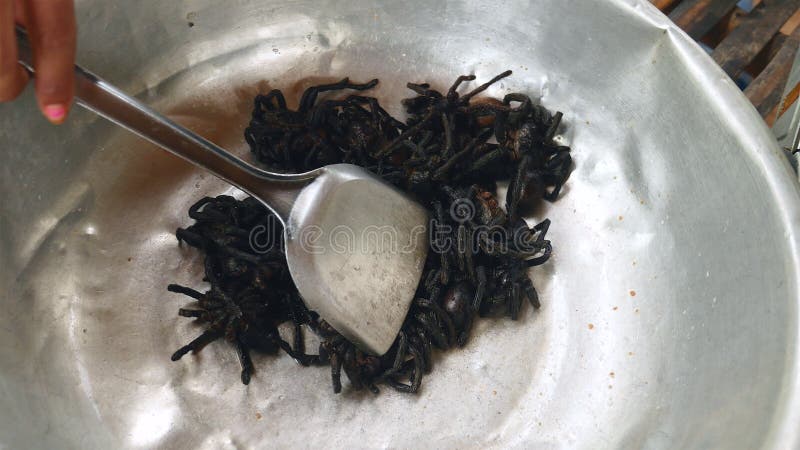 Ready for Cooking Tarantulas in a Metal Basin Stock Footage - Video of ...