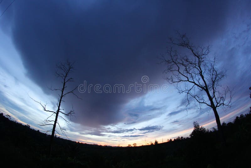 Dead stock photo. Image of tropocal, forest, sunset - 139184390