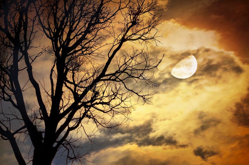 Dead Tree Against Moon and Clouds Stock Image - Image of grave, gothic ...