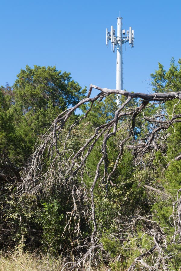 Dead Tree Branch and Cell Tower Stock Photo - Image of rail, large ...