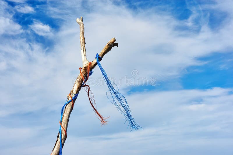 Dead Tree Branch with Coloured Plastic Rope Stock Image - Image of ...