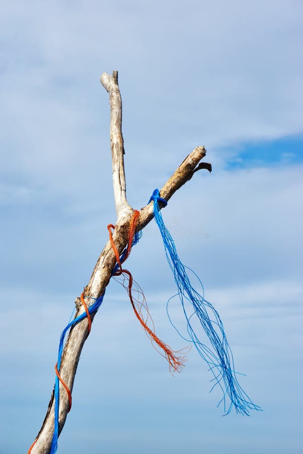 Dead Tree Branch with Coloured Plastic Rope Stock Photo - Image of ...