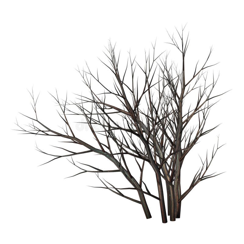 Dead Tree 3d Render Stock Illustrations – 462 Dead Tree 3d Render Stock ...