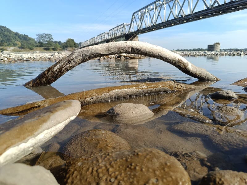 A Dead Tree Can Hold a Railway Bridge? Beautiful Scenery of a River a ...