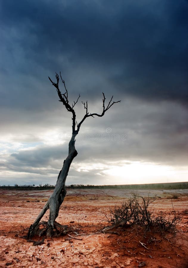 Dead Tree Desert stock image. Image of storm, fear, scenic - 17113213