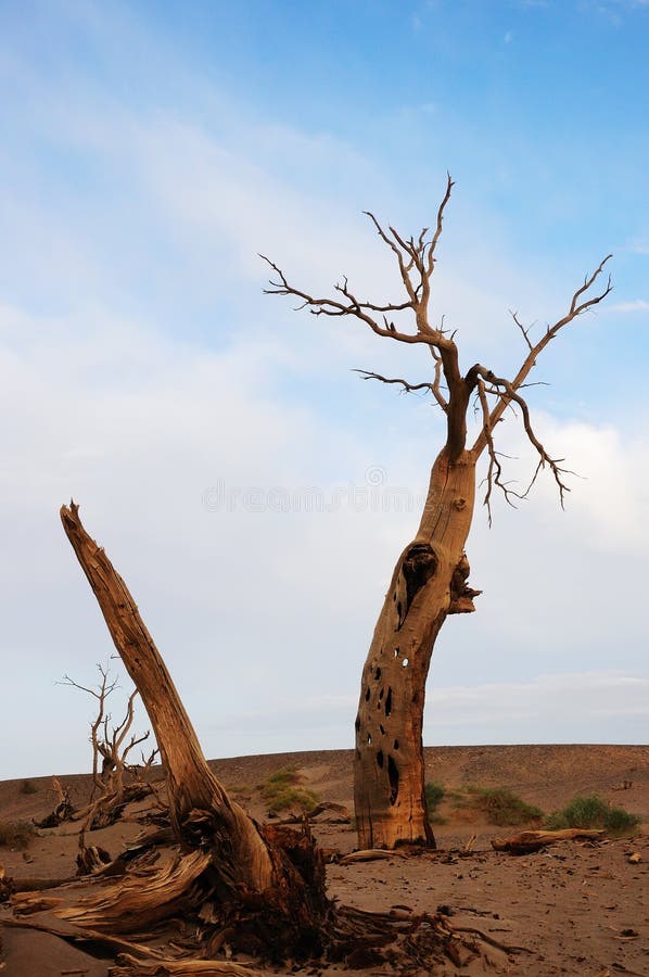 Free Nature (Deserts) pictures, photos & images - Royalty-Free and ...