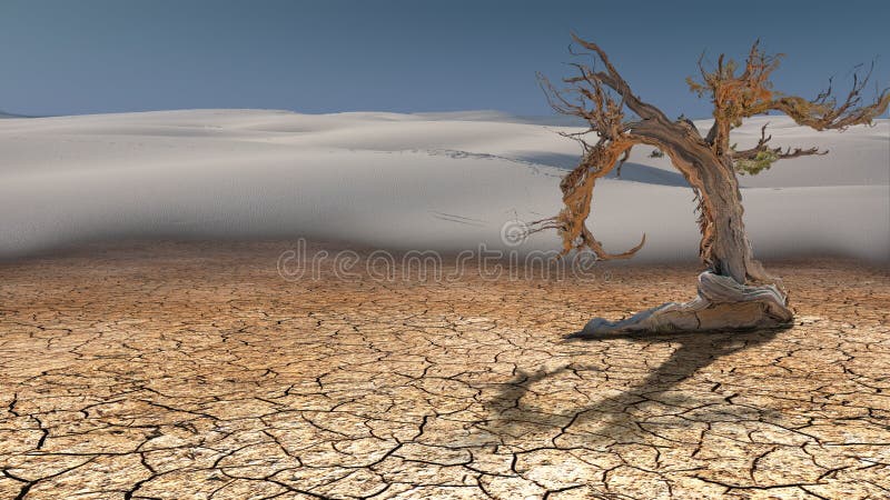 Parched tree in the desert stock photo. Image of outdoors - 3758522
