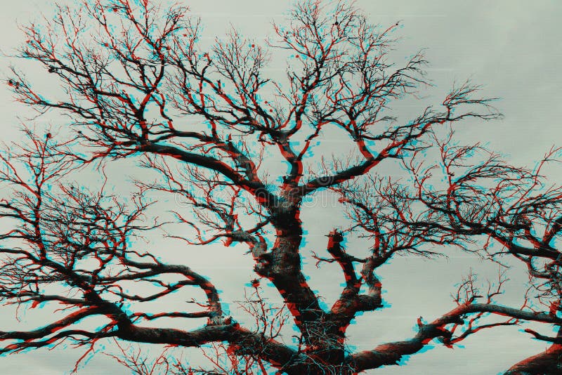 2,574 Distortion Landscape Stock Photos - Free & Royalty-Free Stock ...