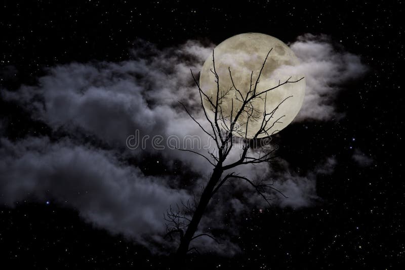 Dead Tree in a Full Moon Night Stock Image - Image of dusk, dark: 257132973
