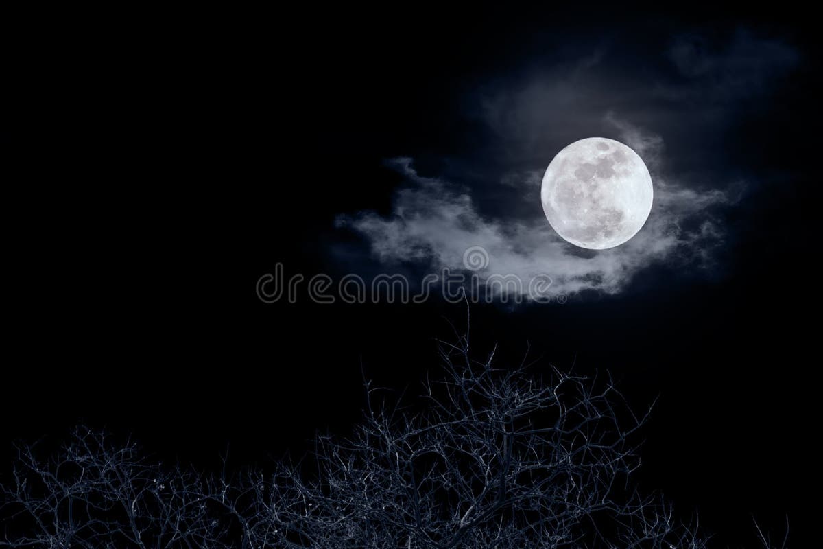 4,009 Dead Tree Line Stock Photos - Free & Royalty-Free Stock Photos ...