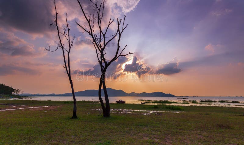 The Dead Tree with God Light Stock Image - Image of alone, driftwood ...