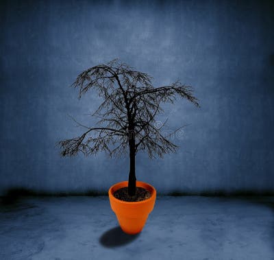 Dead tree growing stock illustration. Illustration of environment - 5930056