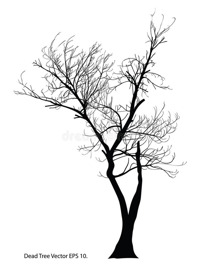 Dead Tree without Leaves Vector Illustration Sketched, EPS 10. Stock ...