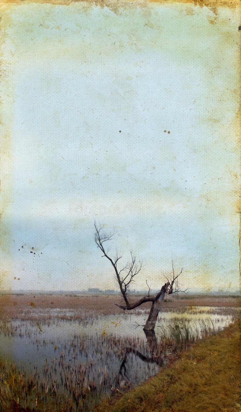 Marsh Stock Illustrations – 23,051 Marsh Stock Illustrations, Vectors ...