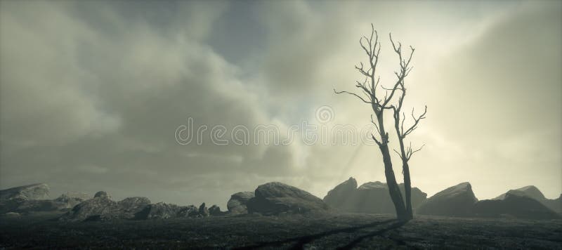 Dead Tree in Misty Barren Rocky Landscape. Stock Photo - Image of ...