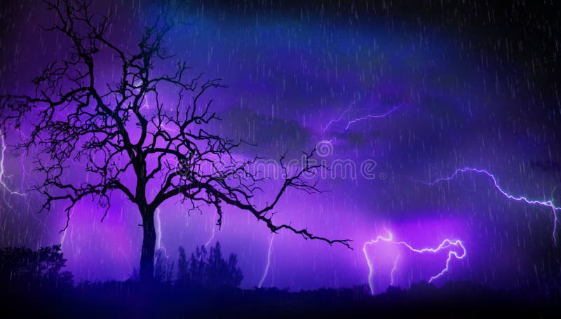 Dead tree and lightning stock image. Image of dark, environmental ...