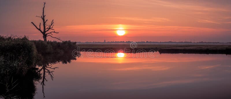 Dead tree in the sunset stock image. Image of dead, reflection - 102988951