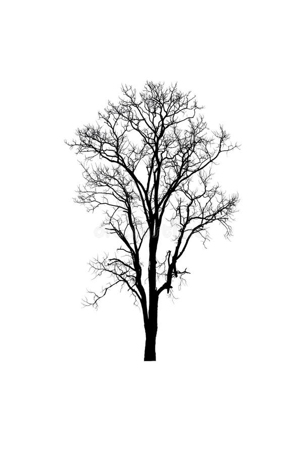 2,007 Black Silhouette Crown Stock Photos - Free & Royalty-Free Stock ...