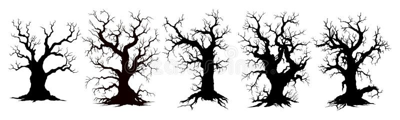 Dead Tree Silhouette on White Stock Vector - Illustration of conifer ...
