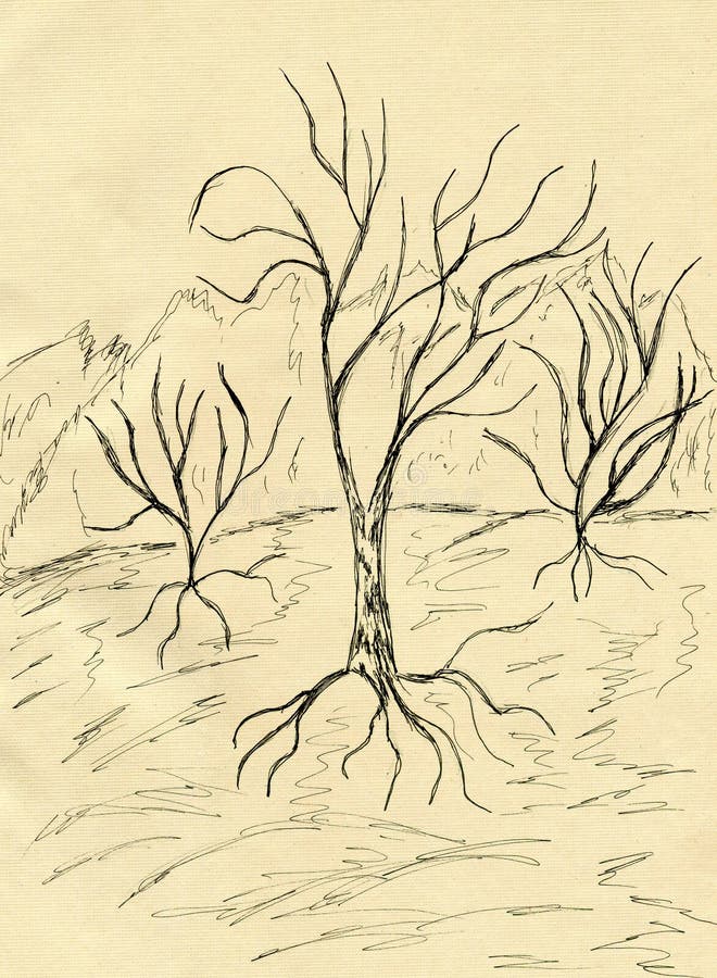 Dead Tree Hand Drawn Stock Illustrations – 687 Dead Tree Hand Drawn ...