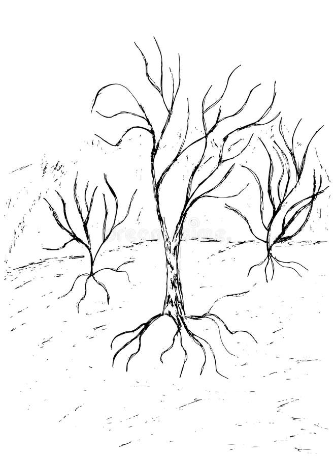 Dead Tree Sketch stock vector. Illustration of sketched - 54598015