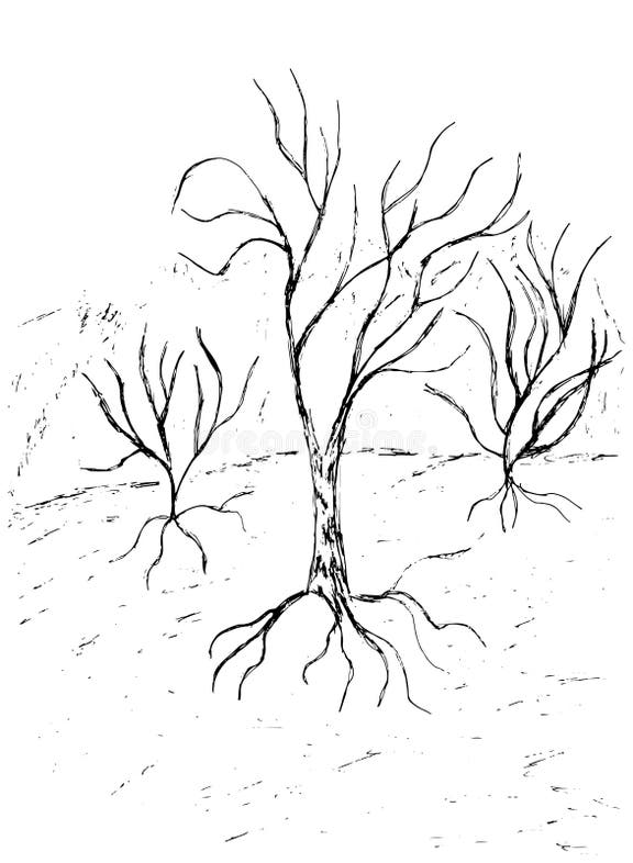 Dead Tree Sketch stock vector. Illustration of sketched - 54598015