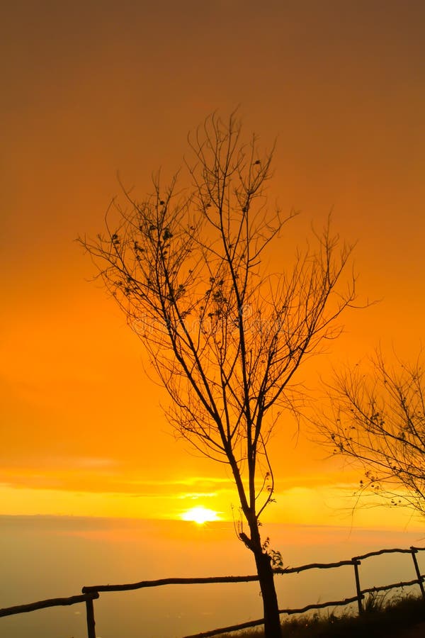 Dead tree in sunset stock photo. Image of mountain, rural - 26749972