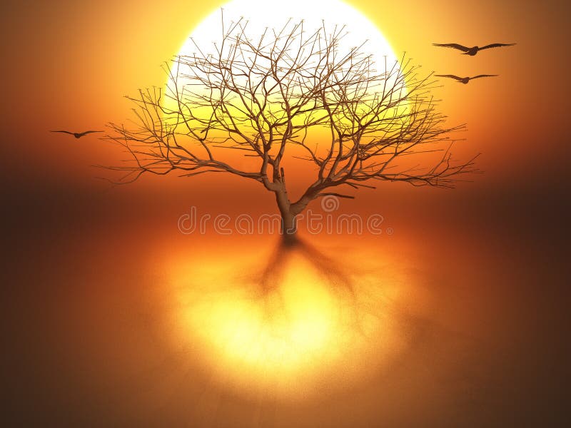Dead tree stock illustration. Illustration of sunset - 71733348