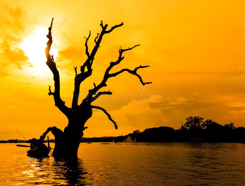 Dead Tree in the Sunset, Myanmar Stock Image - Image of archeology ...