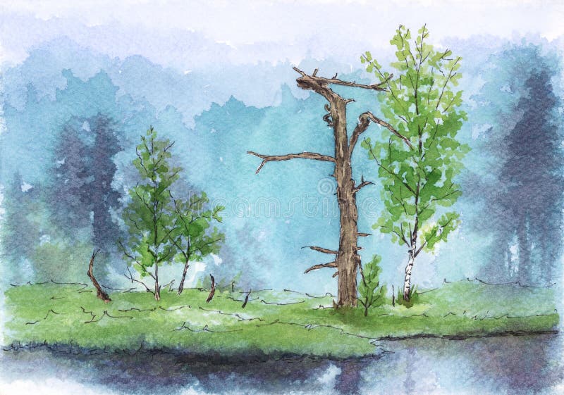 Grassy Swamp with Stream and Trees Stock Photo - Image of nature, draw ...