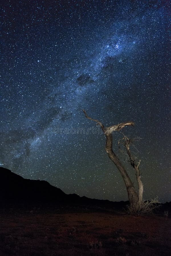 Dead Tree Under the Milkyway Stock Photo - Image of trunk, namib: 90308652