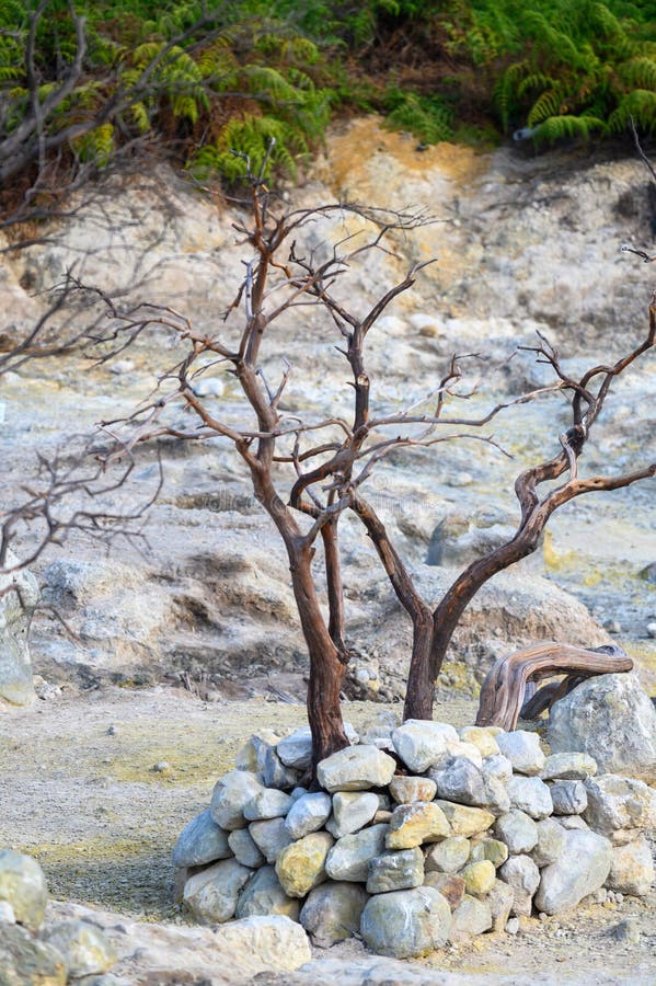 Dead Volcanic Land Timanfaya National Park, Lanzarote Stock Photo ...