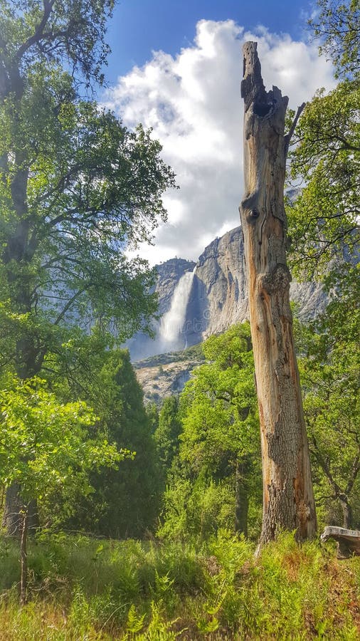 The dead waterfall stock photo. Image of green, trekking - 66948680
