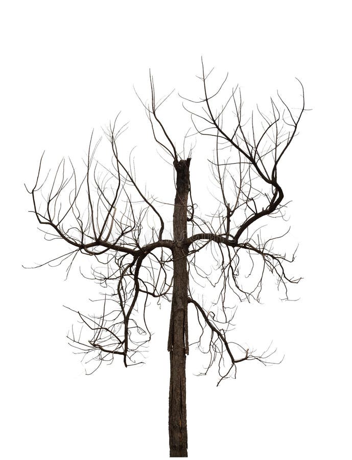 Gothic Art Withered Tree