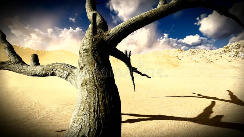 Dead trees in desert stock video. Video of erosion, breathtaking - 70417877