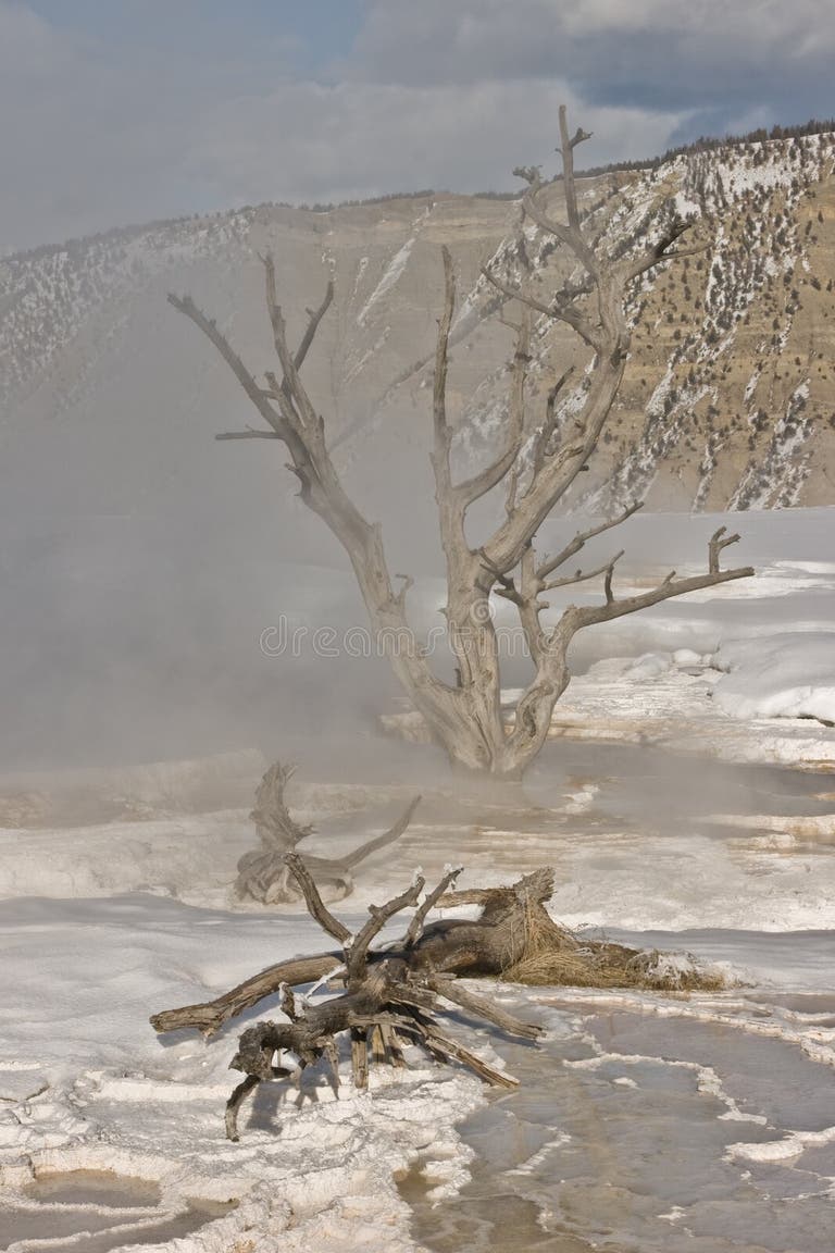 6,862 Trees Hot Springs Stock Photos - Free & Royalty-Free Stock Photos ...