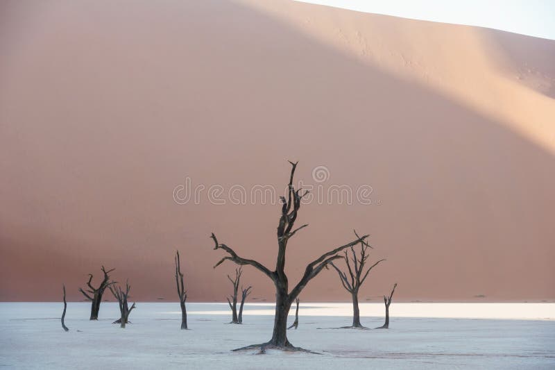 Dead Trees. Sossusvlei, Famous Sand Dunes and Dead Trees in Deadvlei ...