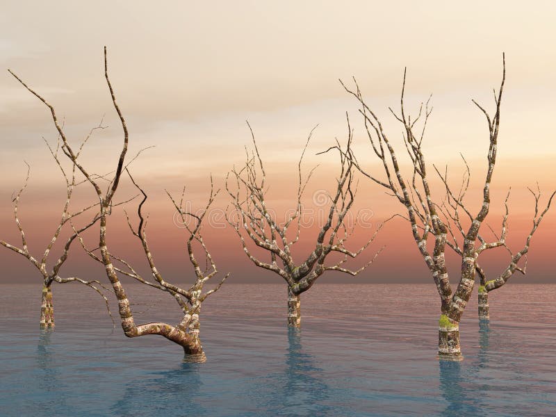 Dead Trees Standing in the Water Stock Illustration - Illustration of ...
