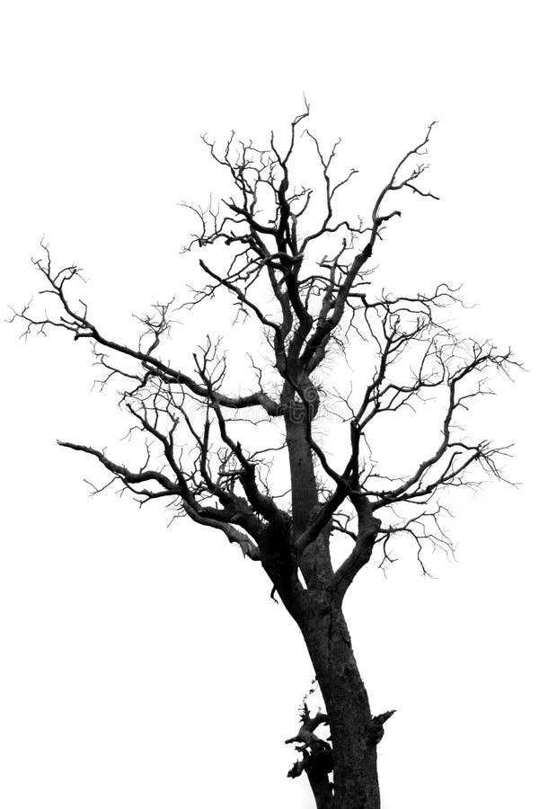 Red Barn and Creek stock photo. Image of barn, nice, boards - 39343330