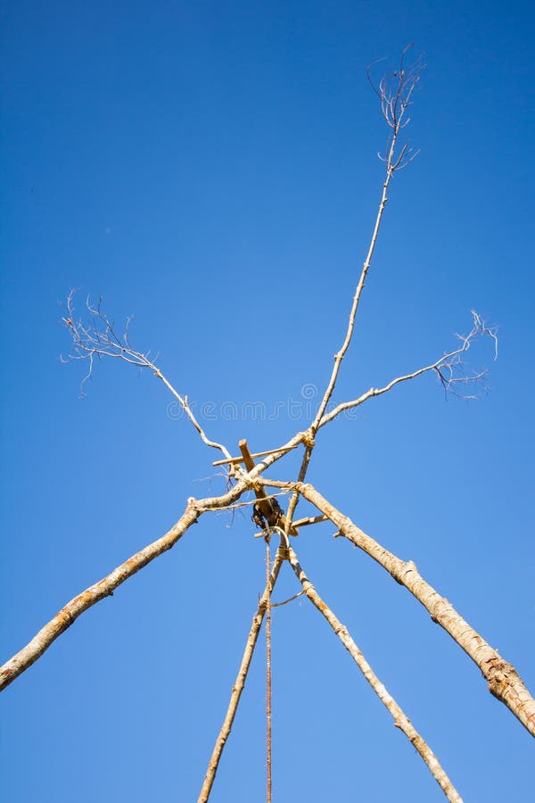 Dead Twigs Frame Anza Borrego State Park Stock Image - Image of hills ...