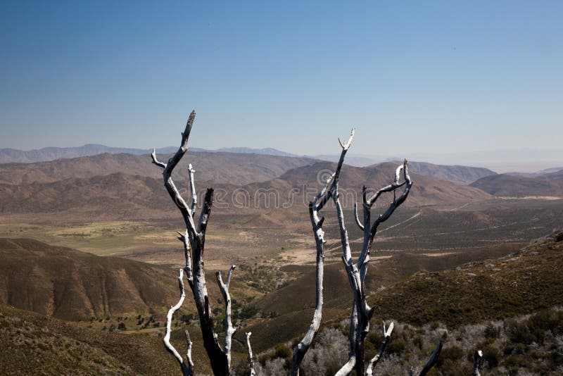 Dead Twigs Frame Anza Borrego State Park Stock Image - Image of hills ...