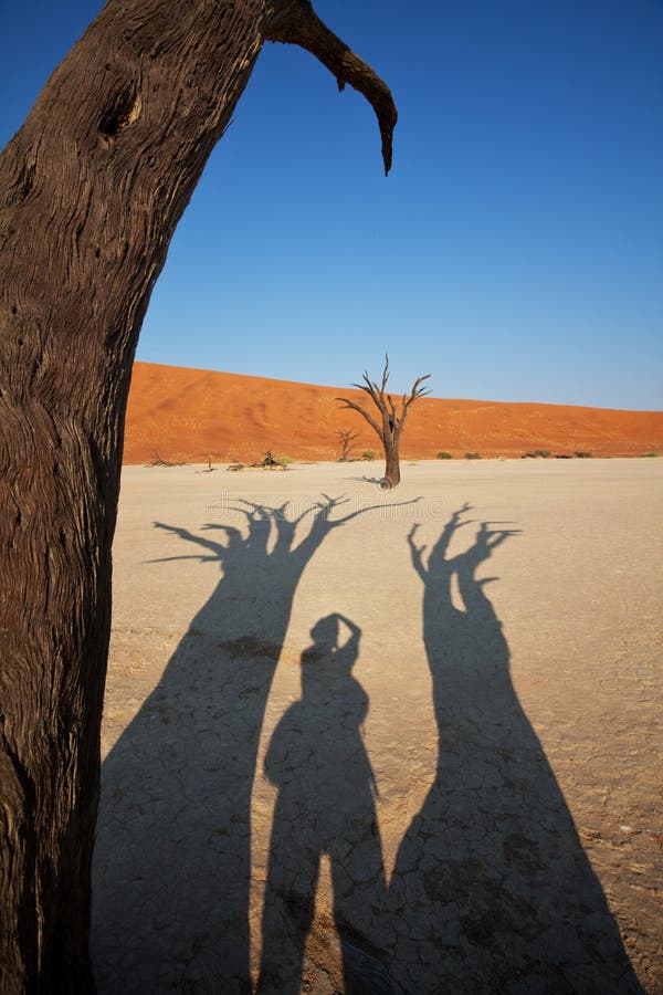 Dead valley stock photo. Image of africa, dune, sossusvlei - 54165832