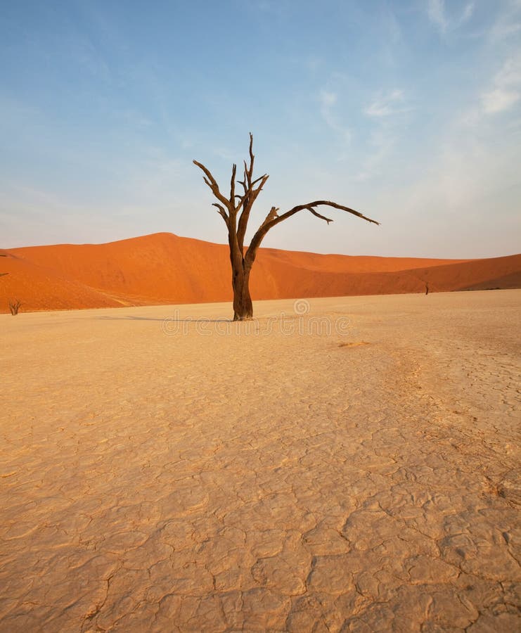 Dead valley stock photo. Image of global, namib, nature - 54167178