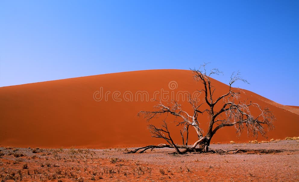 Dead valley in Namibia stock photo. Image of global, death - 35946670