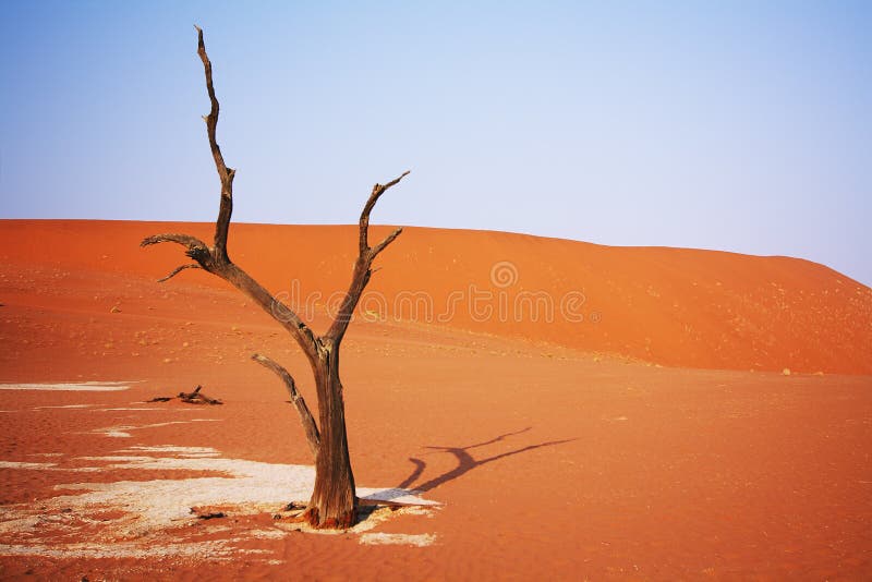 Dead valley in Namibia stock photo. Image of landscape - 35946828