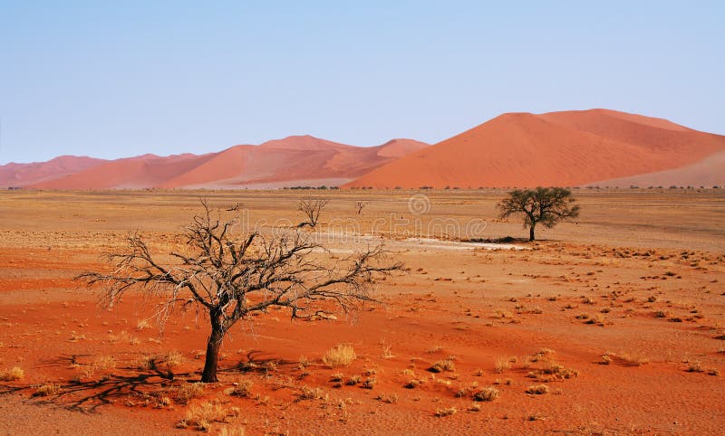Dead valley in Namibia stock image. Image of global, deadwood - 35946887